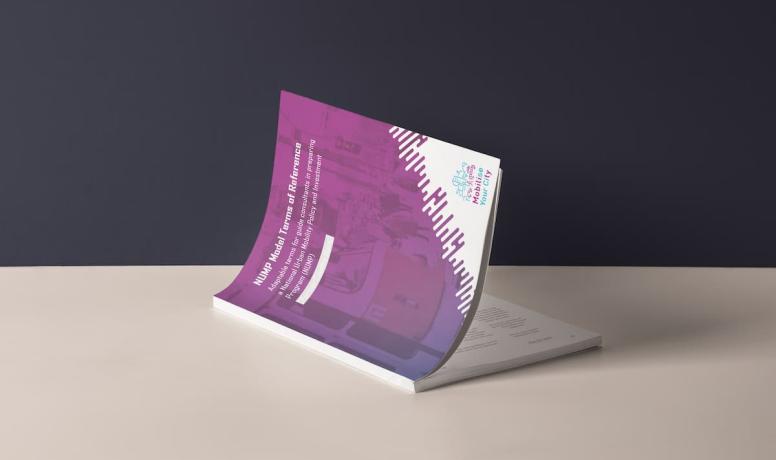 National Urban Mobility Policies and Investment Programmes (NUMPs ...