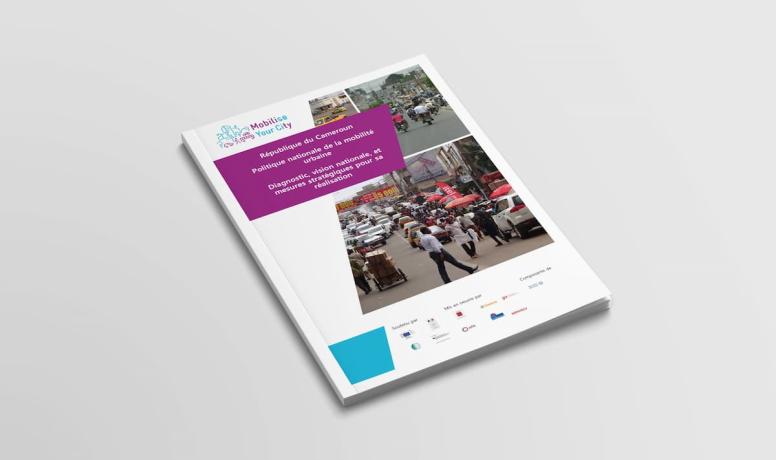 National Urban Mobility Policies and Investment Programmes (NUMPs ...